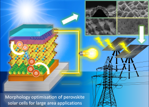 Satapathi Lab – Department of Physics, IIT Roorkee