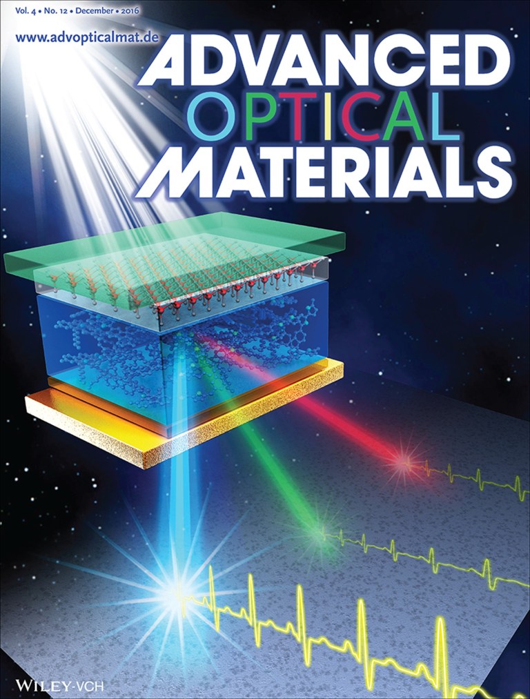 Satapathi Lab – Department of Physics, IIT Roorkee
