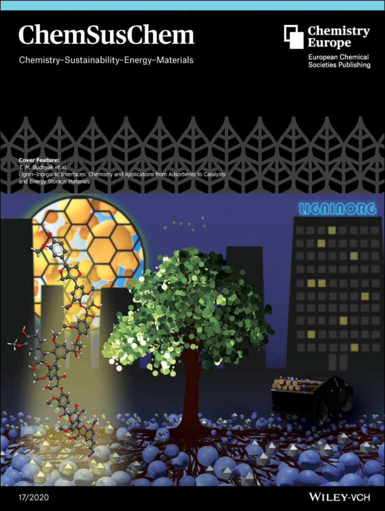 Satapathi Lab – Department of Physics, IIT Roorkee